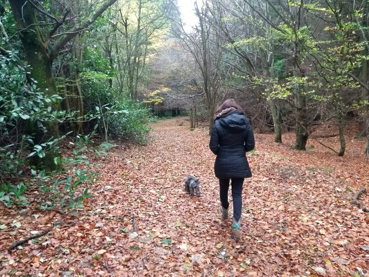 Yester’s Goblin Ha’ | Walking East Lothian