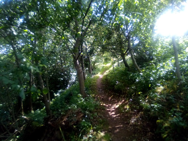 Innerwick Castle | Walking East Lothian